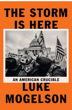 “A dark journey into what ails America” – Kay Green